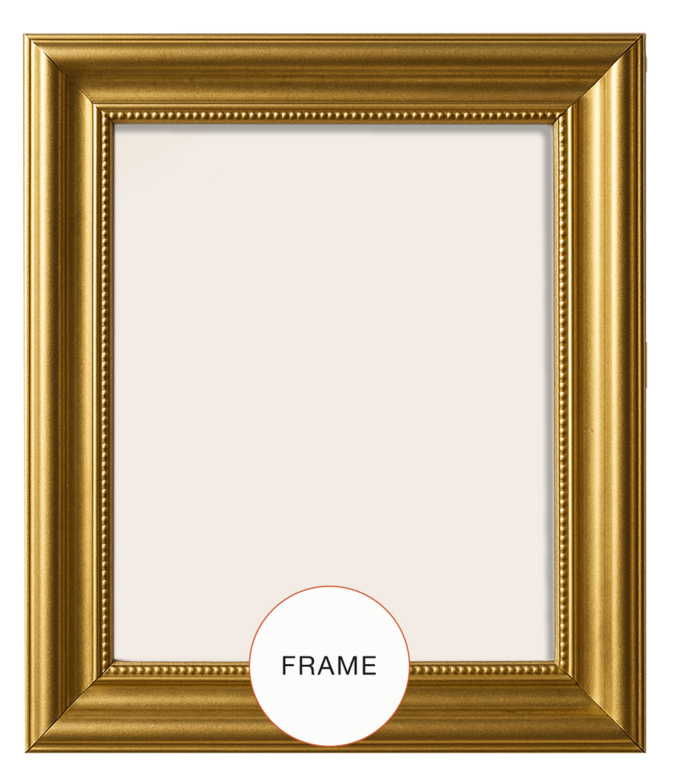 Momento Smart Frame